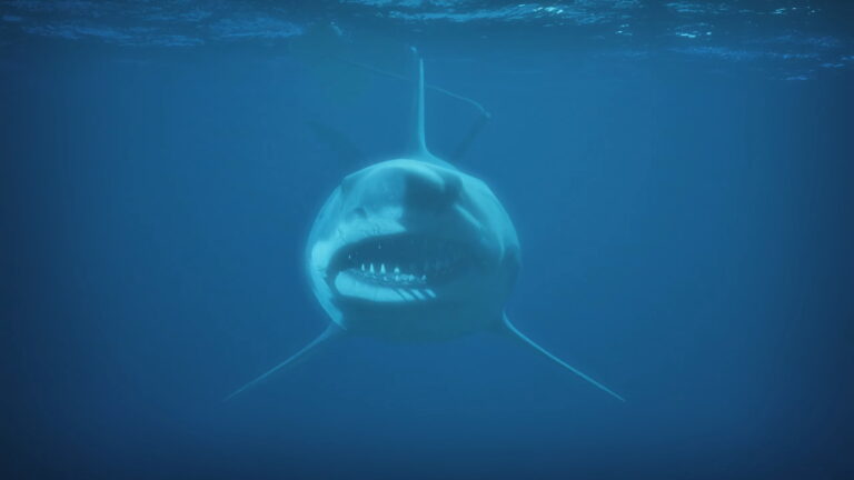 Jogo do tubarão no Roblox deixa você devorar seus amigos